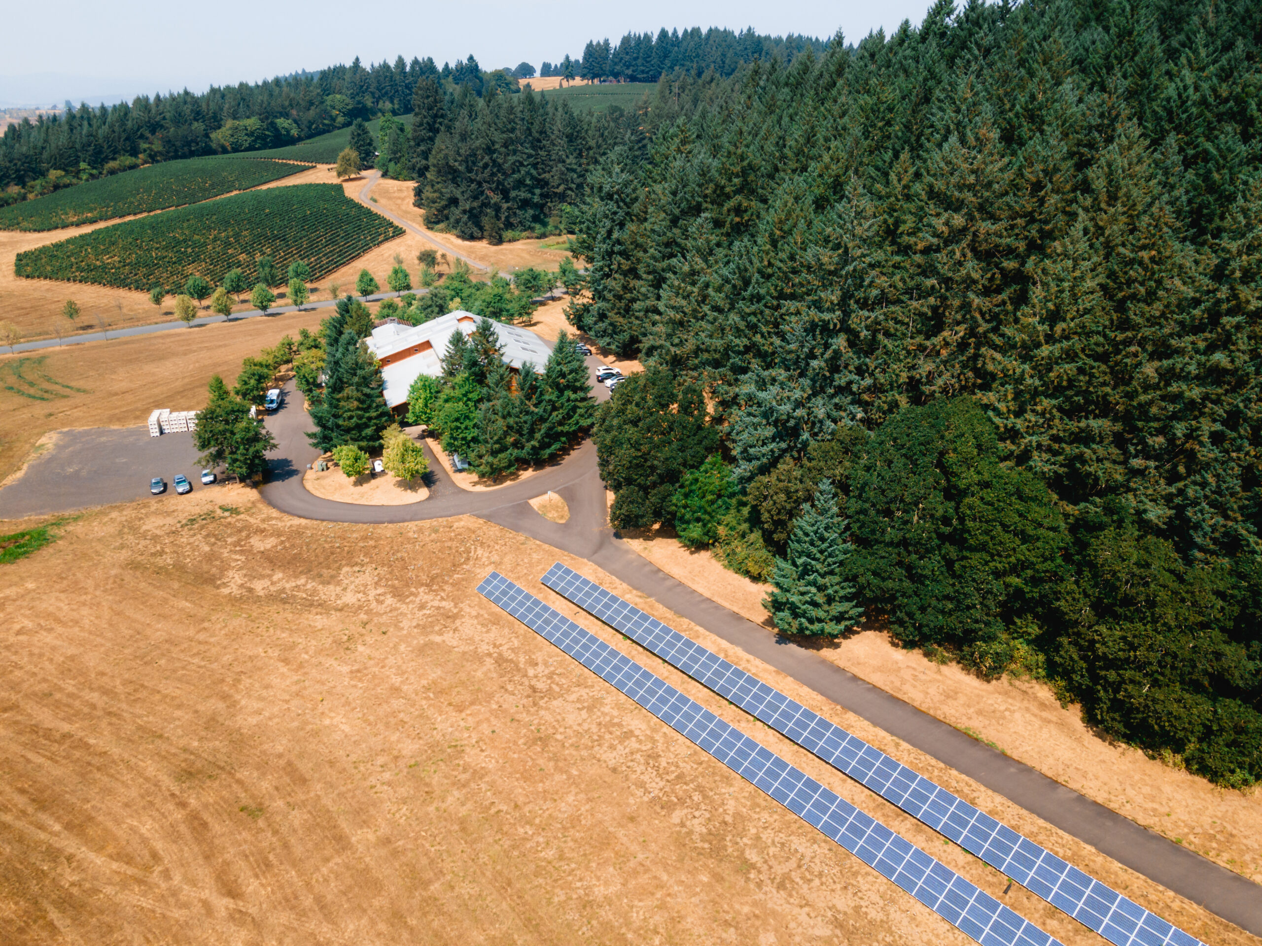 Home - Lemelson Vineyards