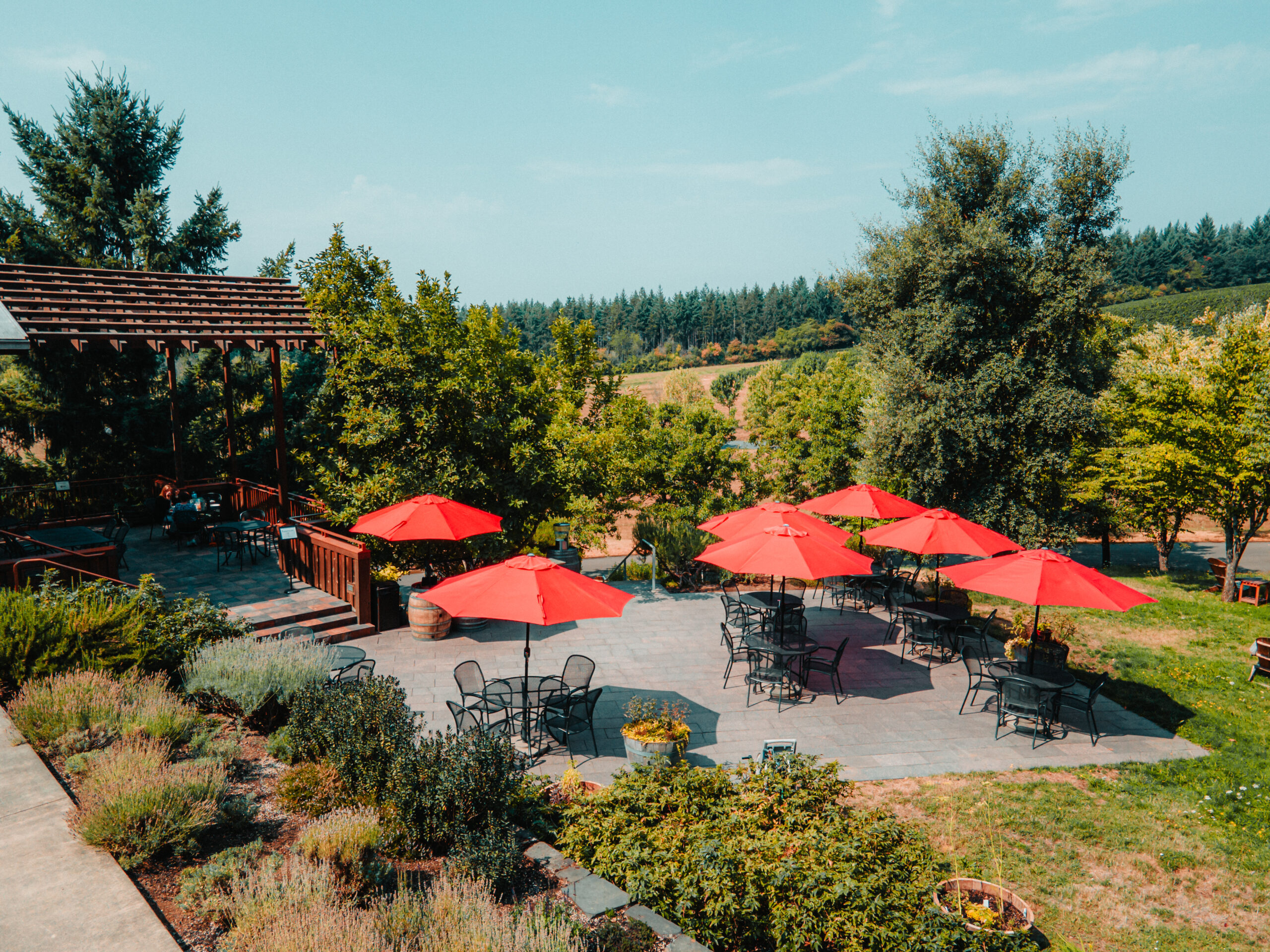 Home - Lemelson Vineyards